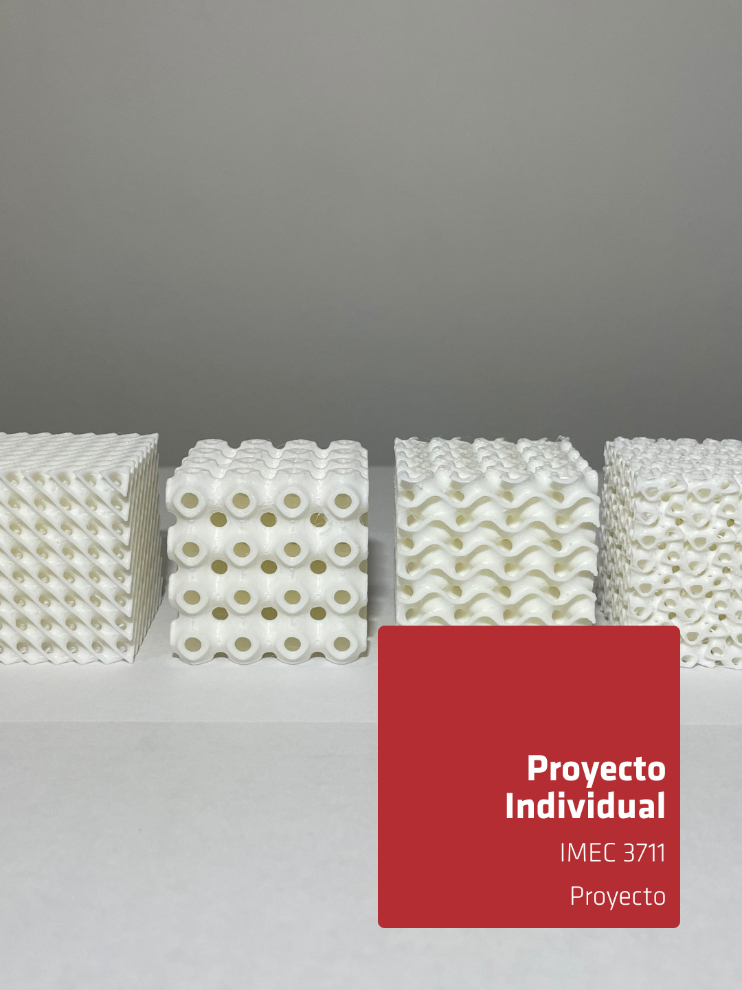 IMEC3711 Proyecto Individual.jpg | Uniandes